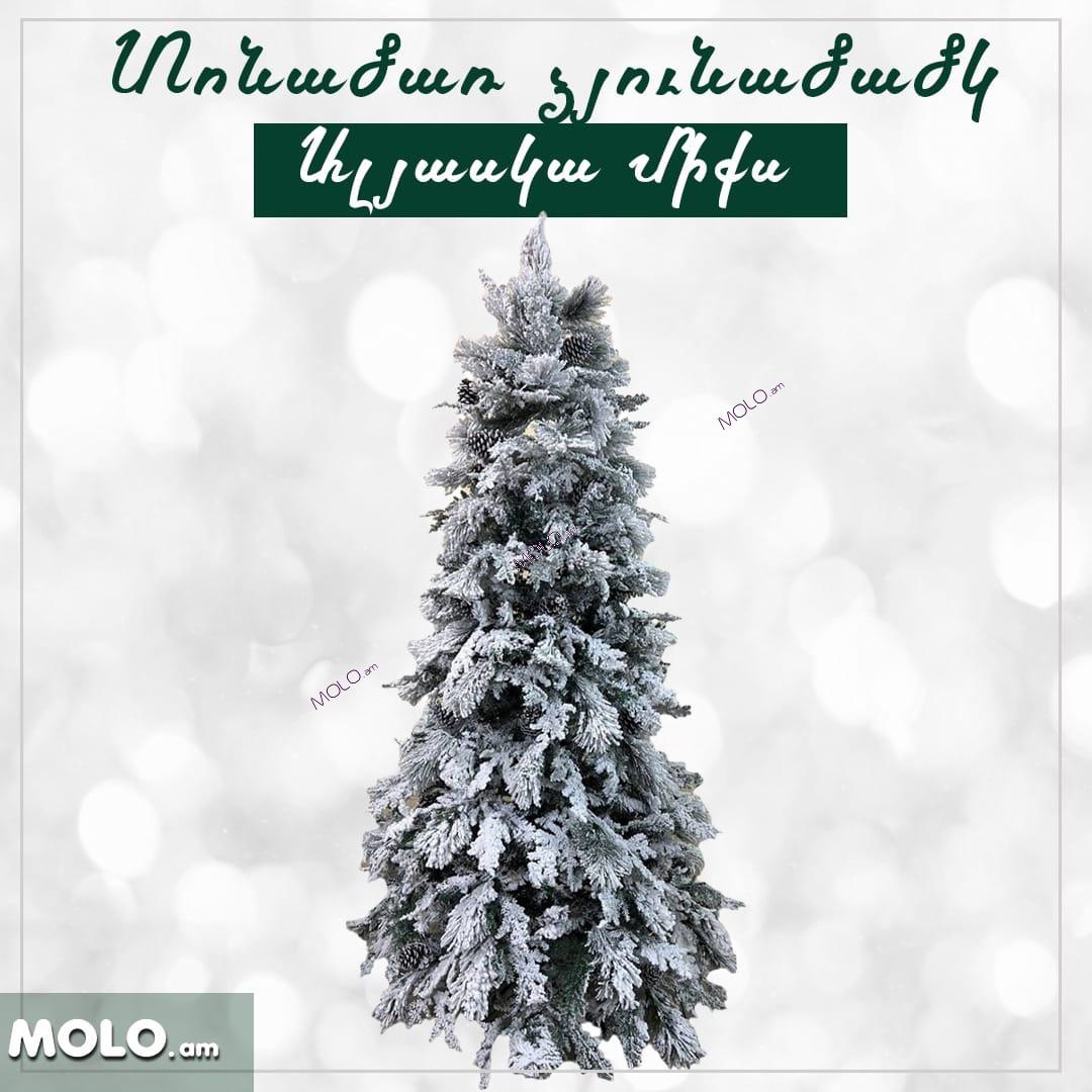 Tonacar, Տոնածառ ձյունածածկ "Ալյասկա" (MIX) | Օնլայն խանութ molo.am