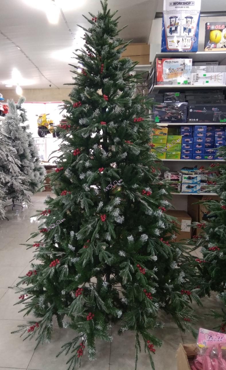 Tonacar, Եղևնի սպիտակեցված, տոնածառ | Օնլայն խանութ molo.am